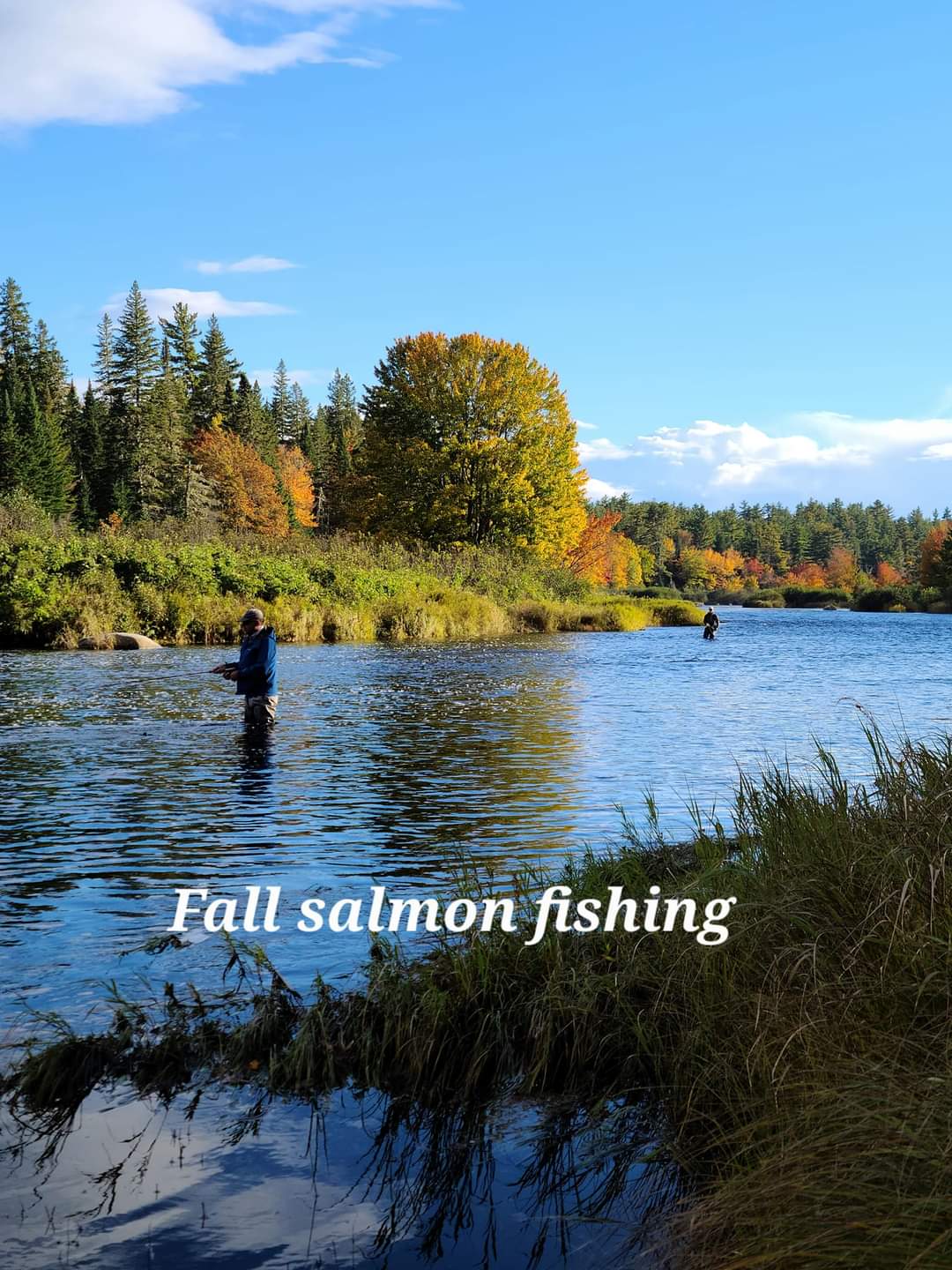 Fall Salmon Have Arrived - Wilson's Sporting Camps